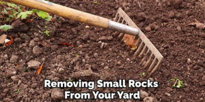 How to Remove Small Rocks From Yard | 5 Easy Instructions