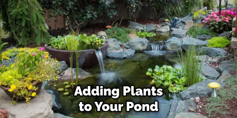 How to Clear a Muddy Pond | 18 Effective Tips (2025) How to Clear a Muddy Pond | 18 Effective Tips (2025)