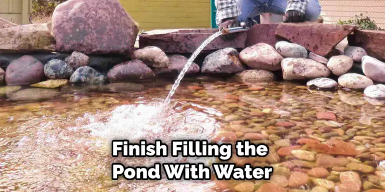 How to Fill in a Pond With Dirt | 7 Easy Steps (2025)