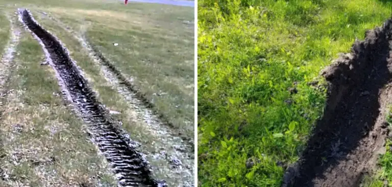 How to Fix Deep Ruts in Yard | 11 Effective Ways (2025)