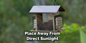 How to Make a Bird Seed Block | 6 Easy Processes (2025)