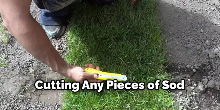 How to Measure for Sod | 6 Easy Processes (2026)
