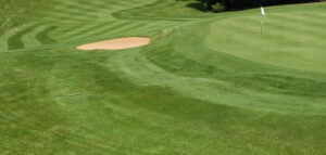 How to Smooth Out a Bumpy Lawn | 8 Effective Methods (2025)