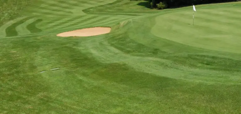 How to Smooth Out a Bumpy Lawn | 8 Effective Methods (2025)