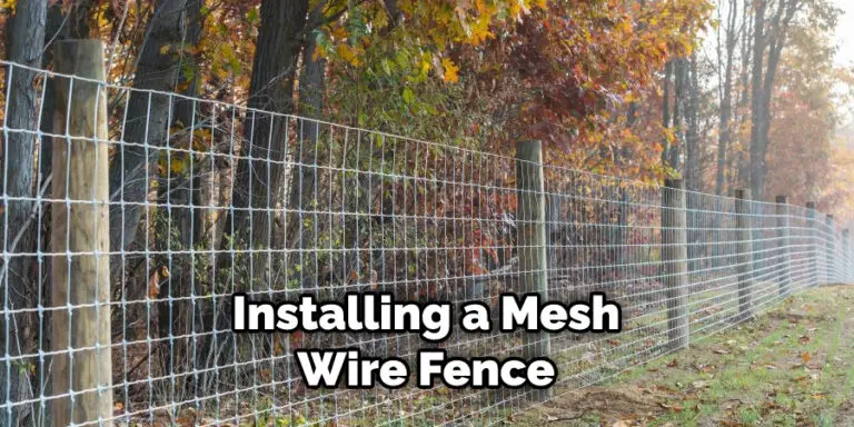 How to Keep Mice Out of Wood Pile | 10 Useful Methods (2026)