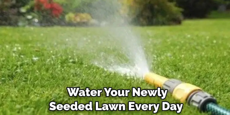 How to Repair Lawn Damaged by Rabbits | 10 Easy Steps (2025)