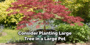 How to Keep Tree Roots From Breaking Concrete | 10 Easy Ways