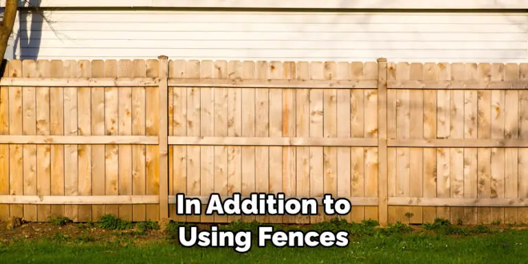 How to Rabbit Proof Garden | 10 Effective Methods (2025)