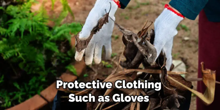 How to Remove Roots from Yard | 10 Easy Methods (2025)