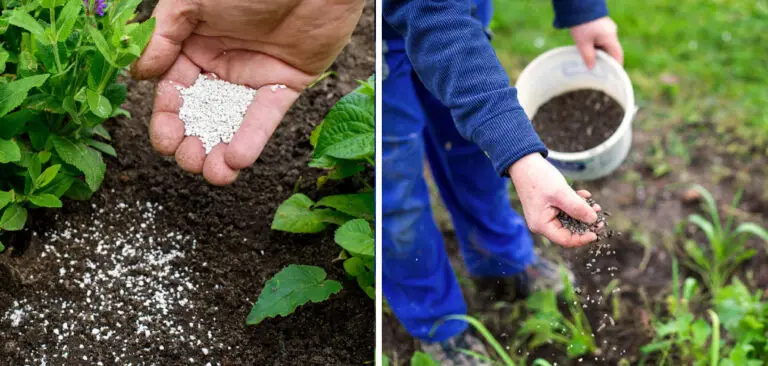 How to Apply Granular Fertilizer | 6 Easy Steps (2025)