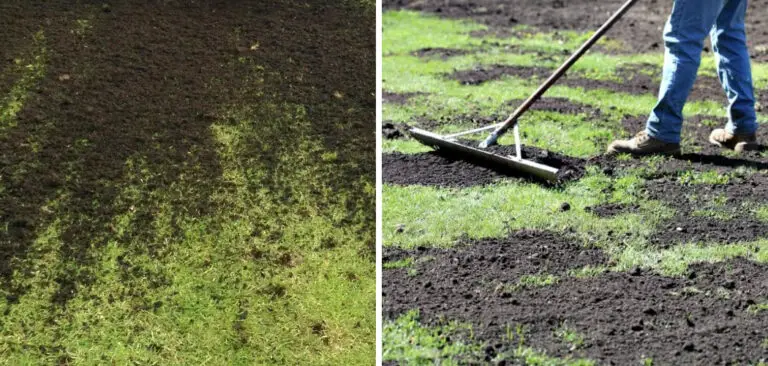 How to Spread Topsoil Over Large Lawn | 5 Easy Steps (2025)