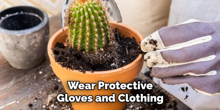How to Remove Cactus From Yard | 5 Easy Instructions (2026)