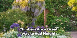 How to Layer Plants in Landscaping | 11 Easy Steps (2026)