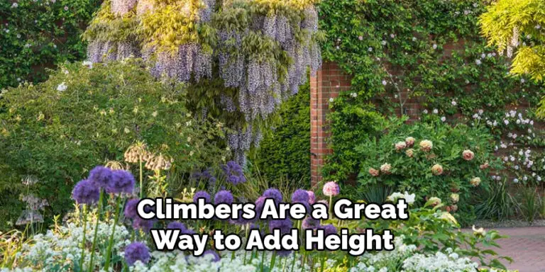 How to Layer Plants in Landscaping | 11 Easy Steps (2026)