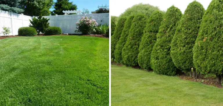 How to Create a Sound Barrier with Landscaping | 10 Easy Methods
