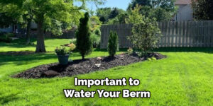 How to Build a Berm for Landscaping | 11 Easy Steps (2025)