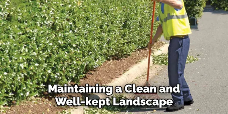 How to Clean up Overgrown Landscaping | 10 Easy Methods (2025)