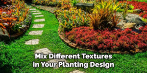 How to Layer Plants in Landscaping | 11 Easy Steps (2026)