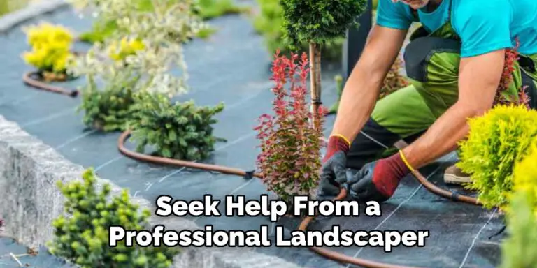 How to Layer Plants in Landscaping | 11 Easy Steps (2025)