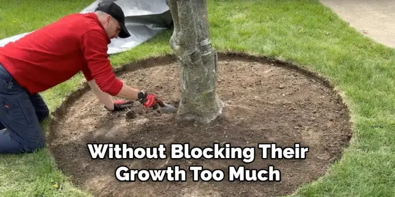 How to Edge Around a Tree with Exposed Roots | 10 Easy Methods