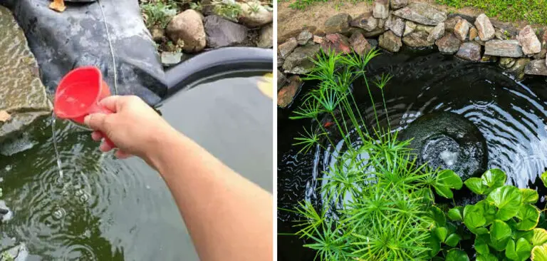 How to Remove Water From Pond Without Motor | 9 Easy Methods