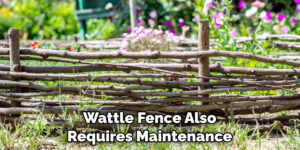 How to Build a Wattle Fence | 6 Easy Steps (2025)