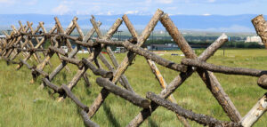 How to Build Split Rail Fence | 10 Easy Methods (2025)