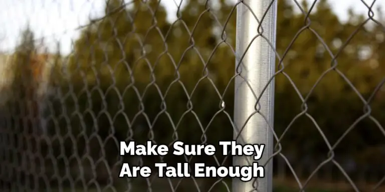 How to Fence Apple Trees From Deer | 6 Easy Steps (2026)