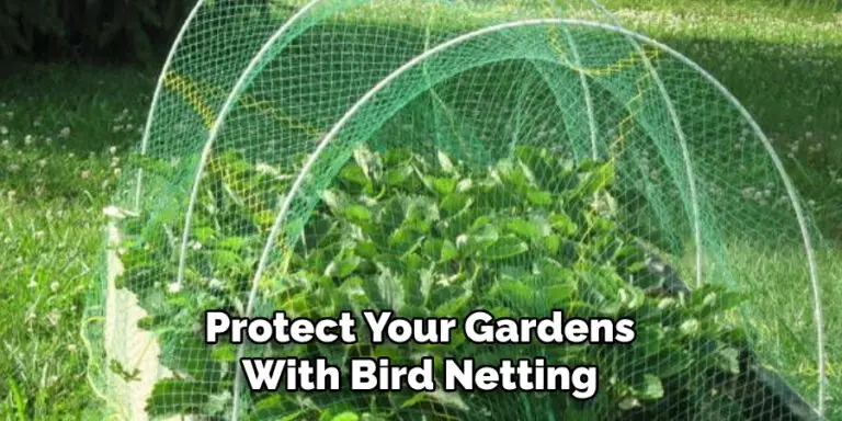 How to Get Rid of Wild Turkeys in Your Yard | 3 Easy Steps