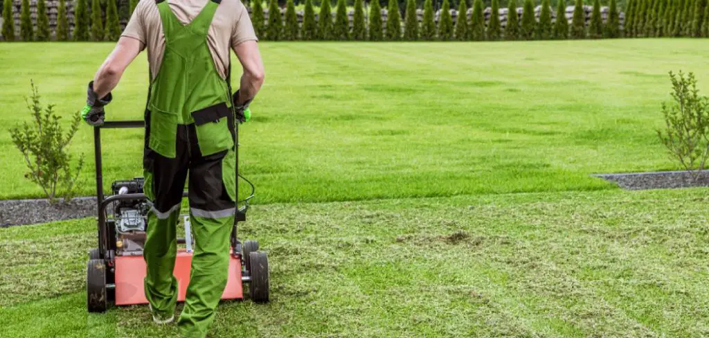 How to Use Lawn Mower Without Bag | 7 Easy Steps (2026)