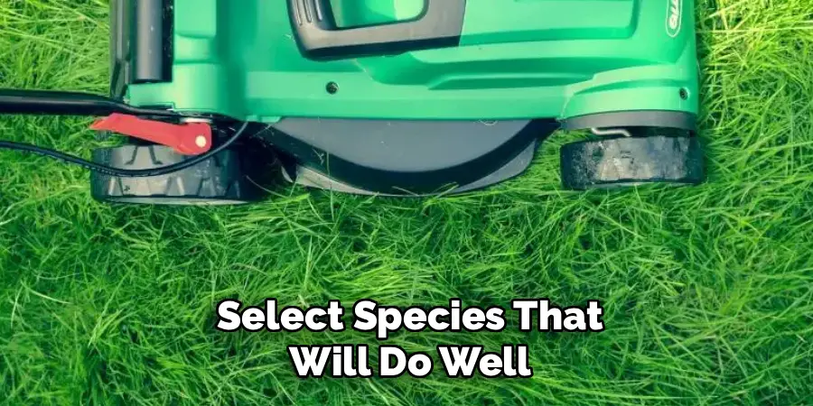 How to Use Lawn Mower Without Bag | 7 Easy Steps (2026)